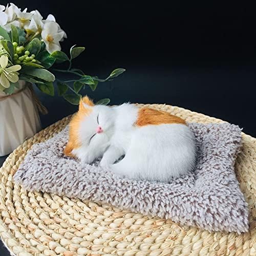 Cute Cat Dashboard — Hey Shoppers