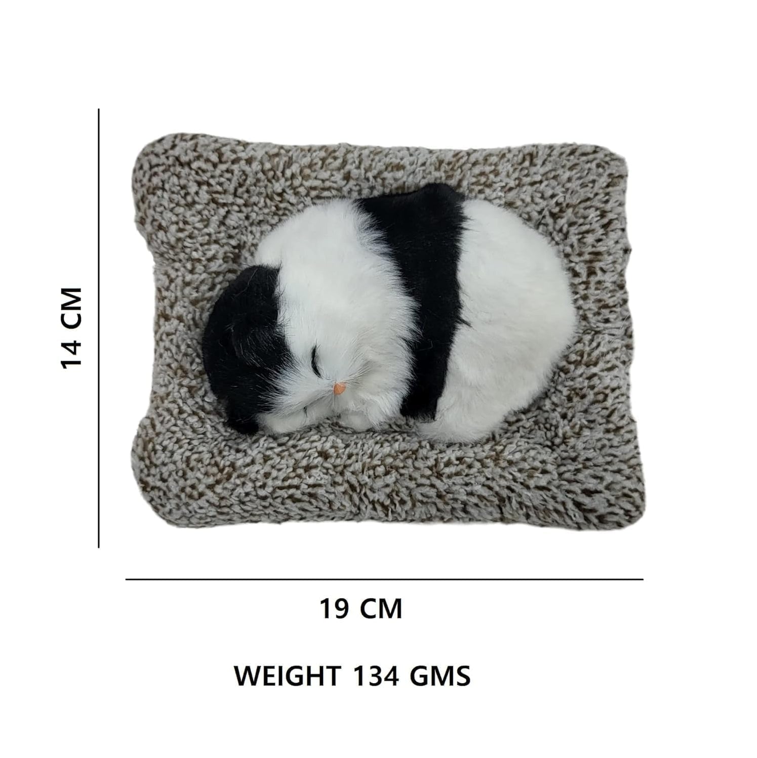 Cute Cat Dashboard — Hey Shoppers