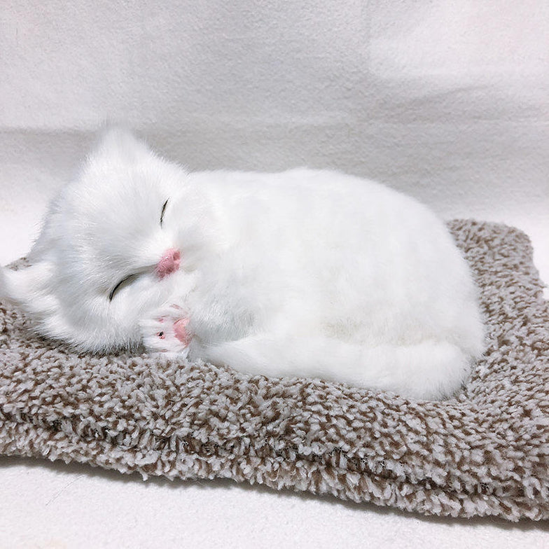 Cute Cat Dashboard — Hey Shoppers