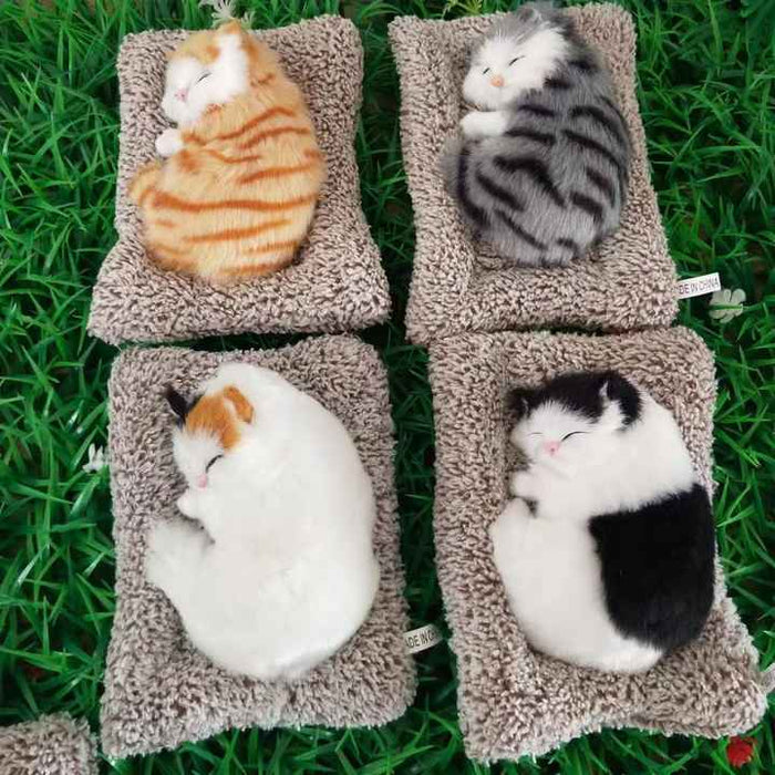 Cute Cat Dashboard — Hey Shoppers